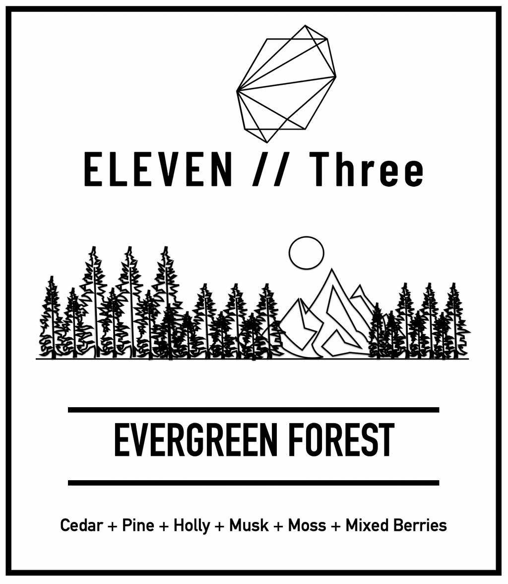 EVERGREEN FOREST – ELEVEN//Three